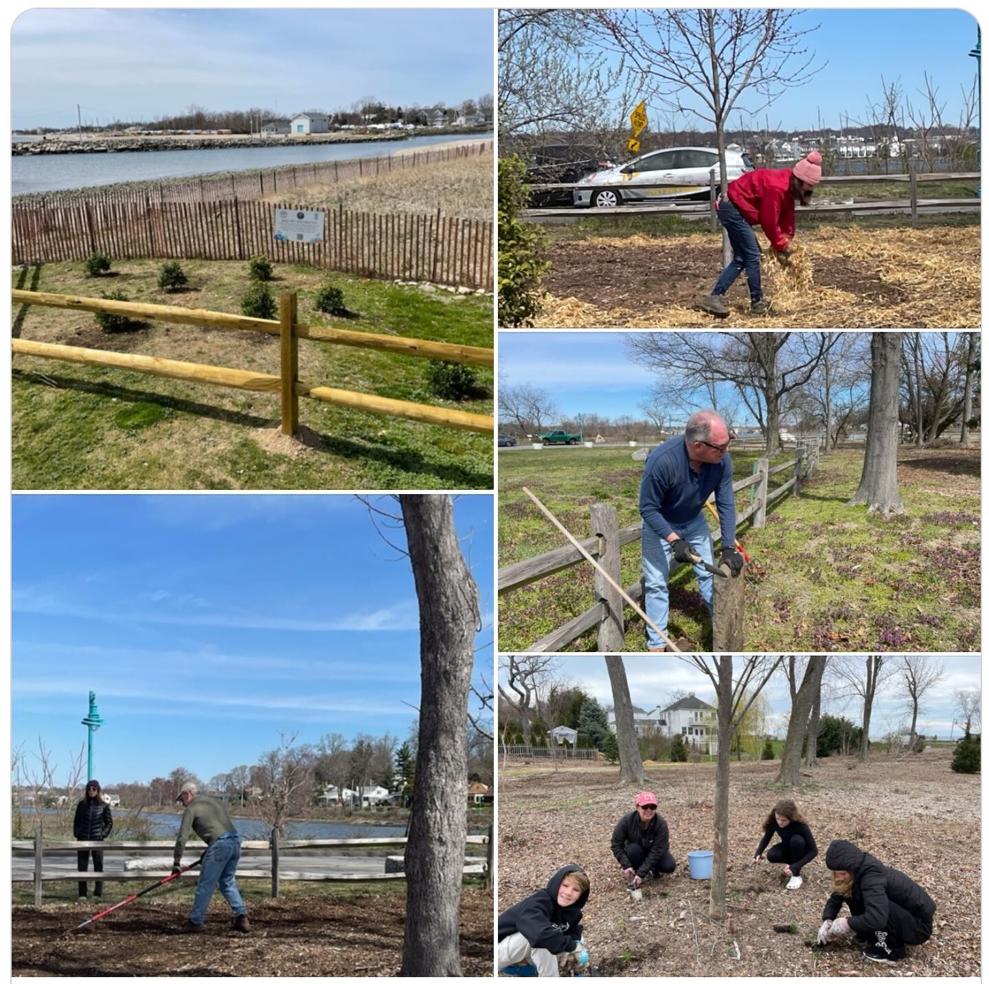 Spring 2023 Plantings at Barrier Spit & Preserve - Ash Creek ...